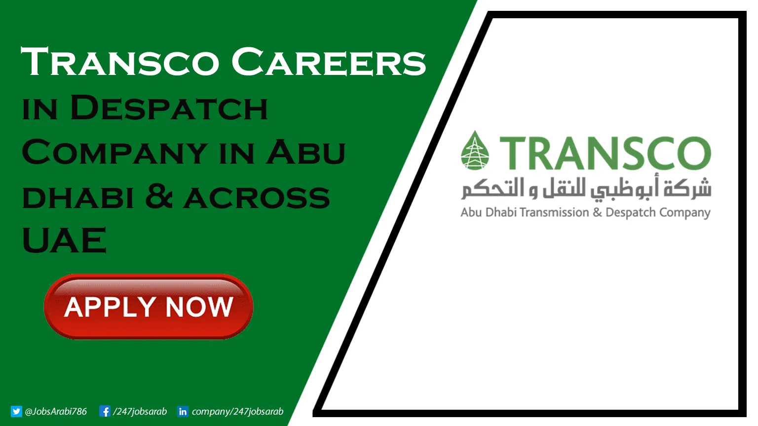 Transco Careers UAE 2025 | Latest Job Vacancies Today